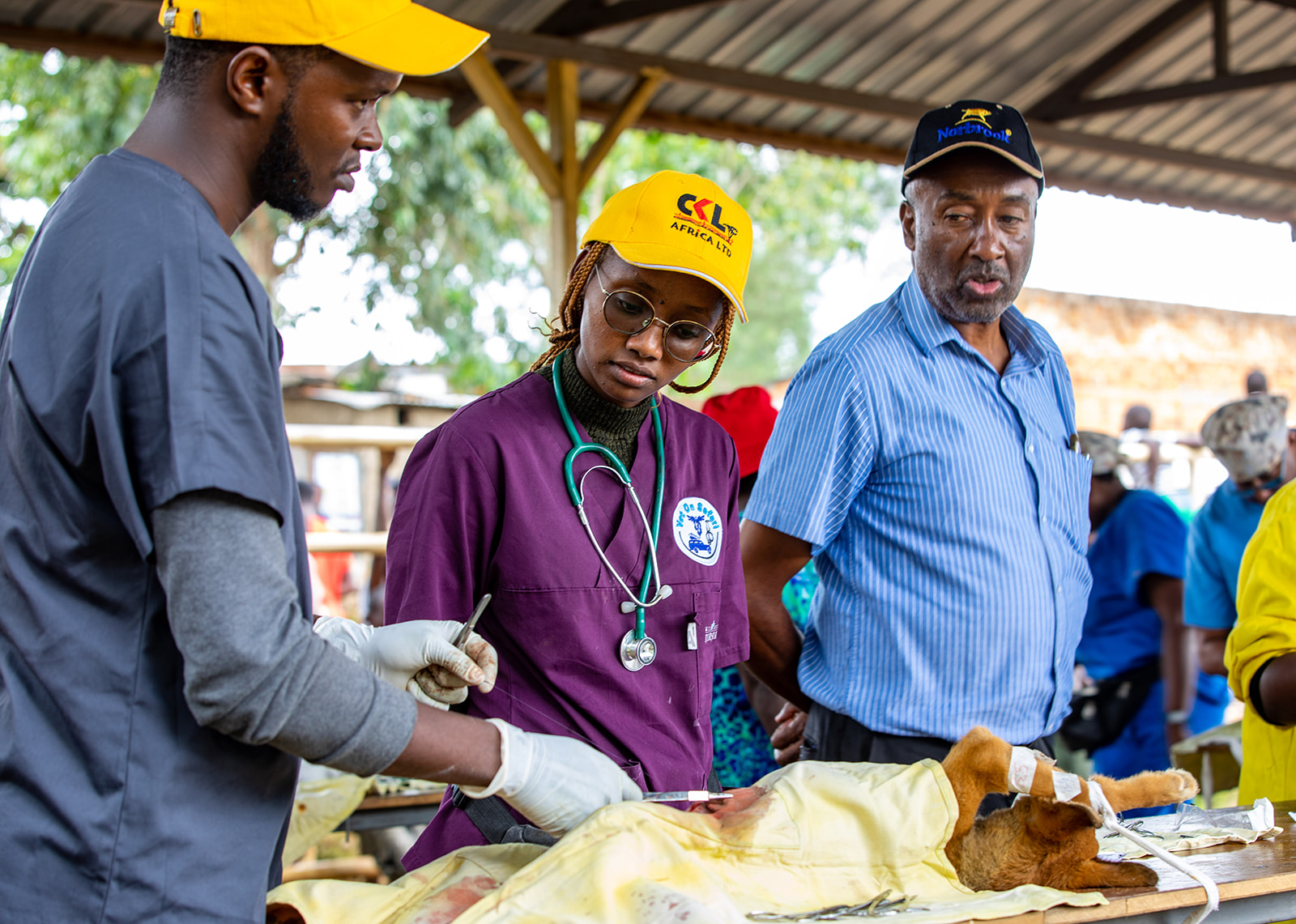 Kenya Veterinary Association – Improving the livelihoods of Kenyans